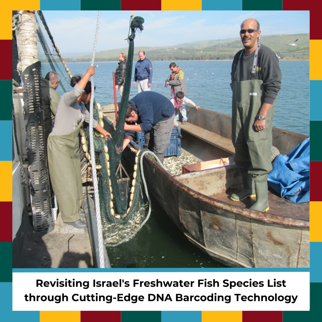 Revisiting Israel's Freshwater Fish Species List through Cutting-Edge ...